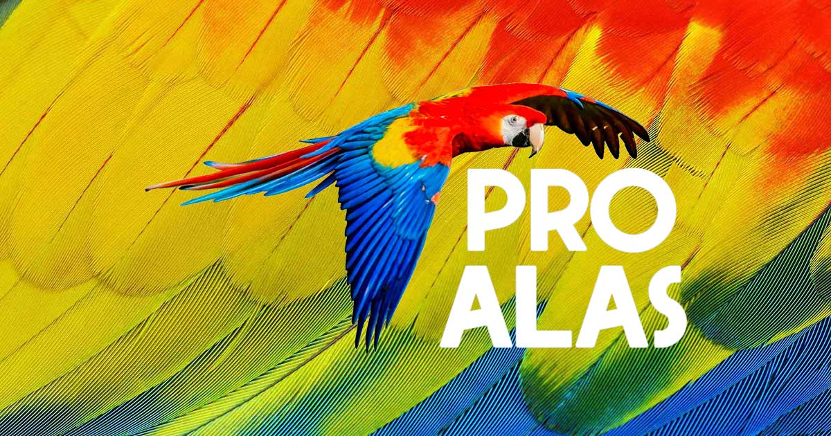 Welcome | PRO-ALAS